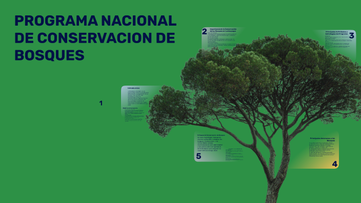 PROGRAMA NACIONAL DE CONSERVACION DE BOSQUES by Abelardo Fiestass on Prezi