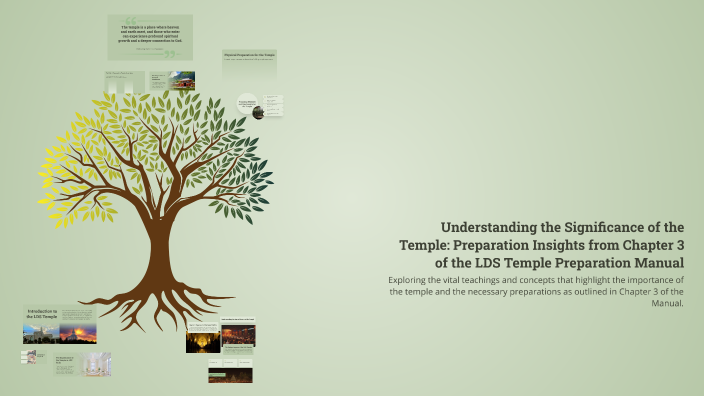 Understanding the Significance of the Temple: Preparation Insights from ...