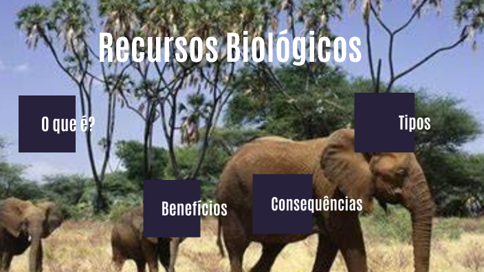 recursos biológicos by Juliana Sofia Miranda Nunes on Prezi