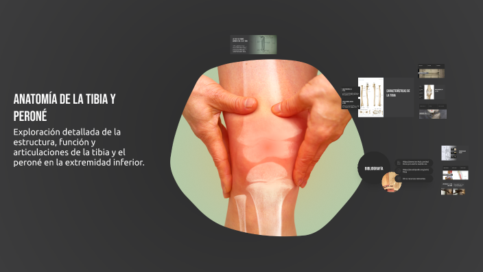 Anatomía de la Tibia y Peroné by cherryliss cruz on Prezi