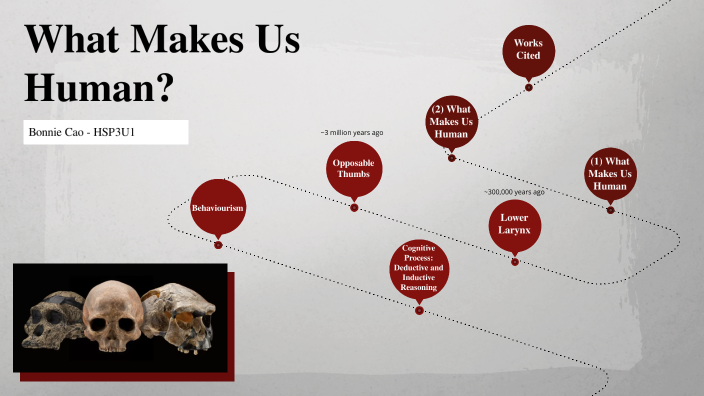 APS What Makes Us Human by Bonnie C on Prezi