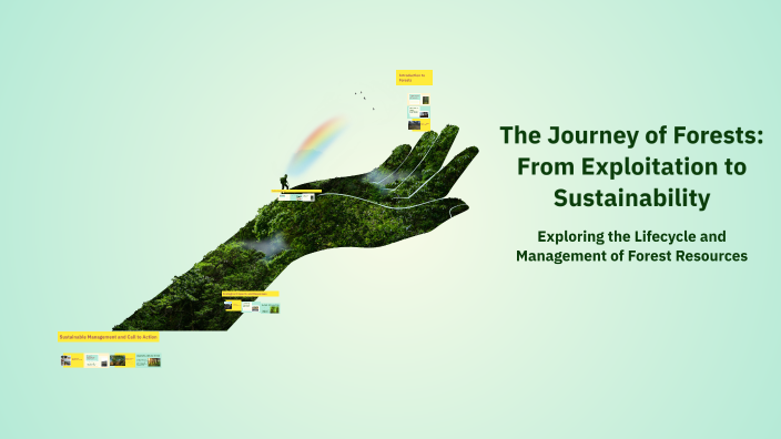 The Journey of Forests: From Exploitation to Sustainability by akshara ...