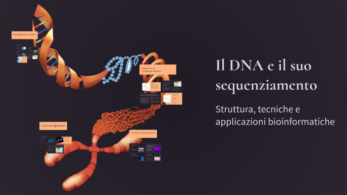 Il DNA e il suo sequenziamento by Davide on Prezi