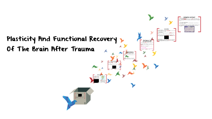 OLD - Plasticity and Functional Recovery of the Brain after Trauma by ...