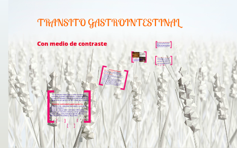 transito gastrointestinal (radiologia) by Melissa Sánchez on Prezi
