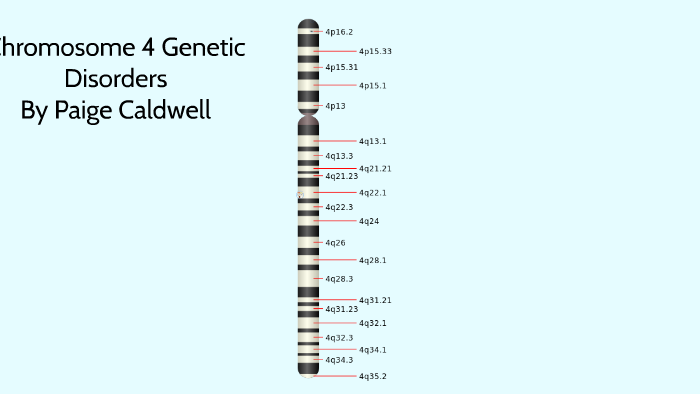 Chromosome 4 Genetic Disorders by Paige Caldwell on Prezi