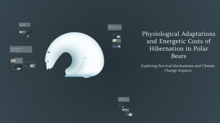 Physiological Adaptations and Energetic Costs of Hibernation in Polar ...