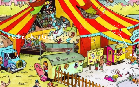 A Cell is Like a Circus by Saad Abbasi on Prezi