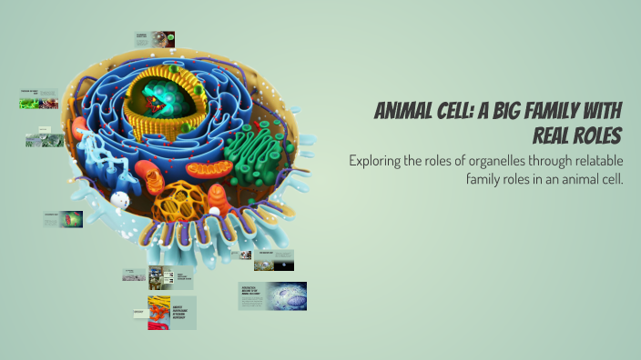 Animal Cell: A Big Family with Real Roles by Abe Baca on Prezi