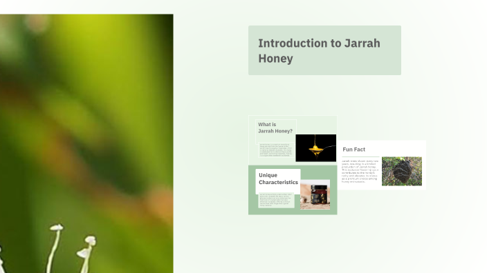 The Unique Story of Jarrah Honey: Australia’s Liquid Gold by Mugun ...