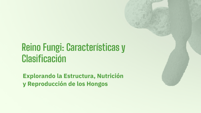 Reino Fungi: Características y Clasificación by Gabriela on Prezi