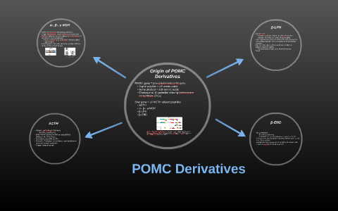 POMC Derivatives by Ndeye Fatou GUEYE on Prezi