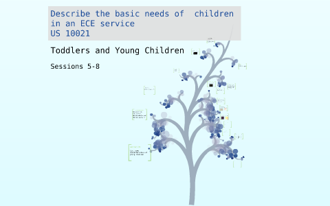 Basic Needs ECE Level 2 by Alison Johnston-Dobbs