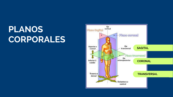 PLANOS CORPORALES by Henry Infante on Prezi