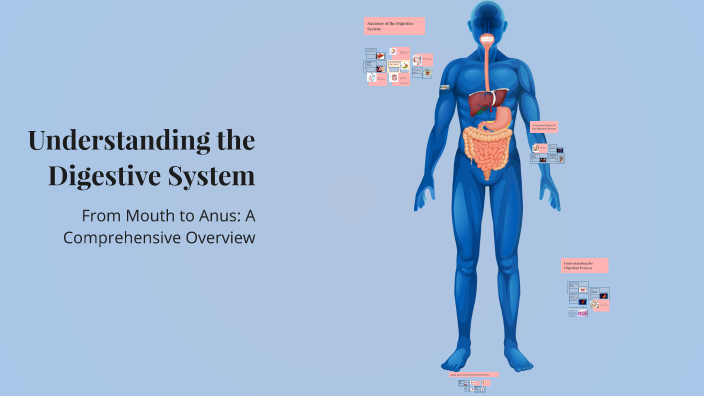 Understanding the Digestive System by Alisa Racine on Prezi