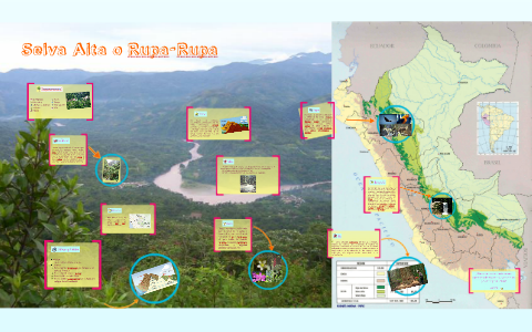 Selva Alta o Rupa-Rupa by Lorena Juárez Bayona on Prezi