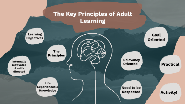 The Key Principles of Adult Learning by Laura Velando on Prezi