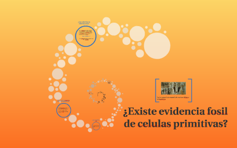 ¿Existe evidencia fosil de celulas primitivas? by Sara Natalia Gonzalez ...