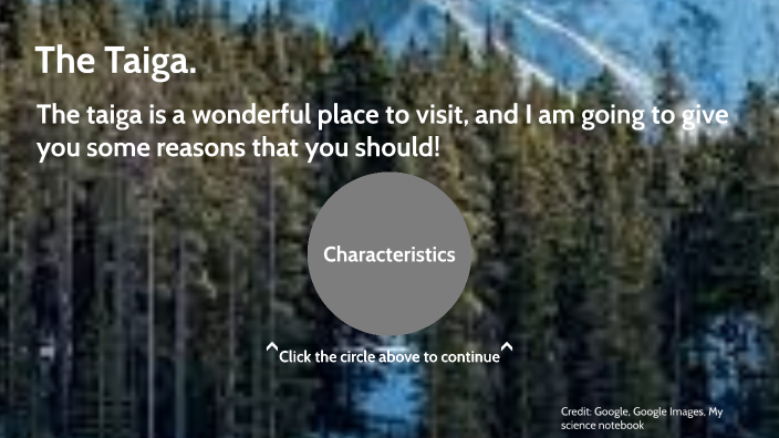 Taiga Advertisement Slides Michael Mills by Michael Mills on Prezi