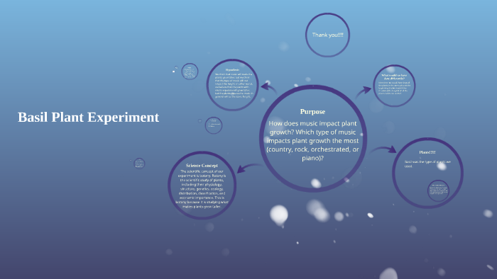 Basil Plants Growth Experiment by Rachel Ngare on Prezi