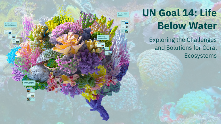 UN Goal 14: Life Below Water by Ethan Holden on Prezi