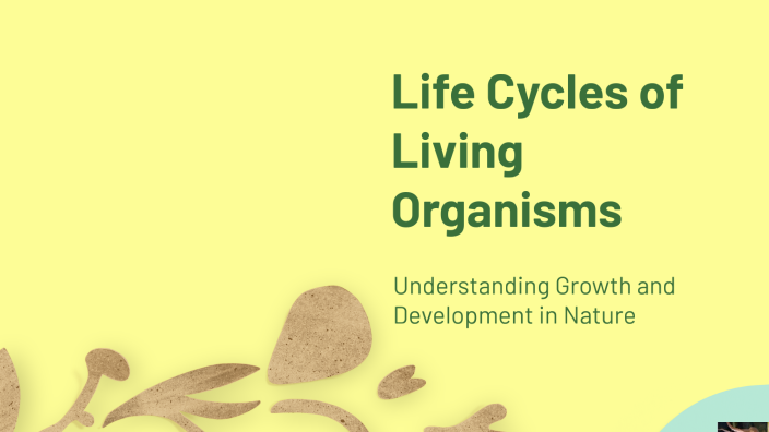 Life Cycles of Living Organisms by Lauren Snow on Prezi