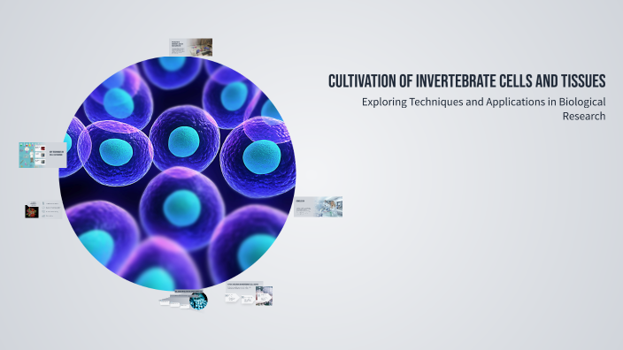 Cultivation of Invertebrate Cells and Tissues by Валерия Назарук on Prezi
