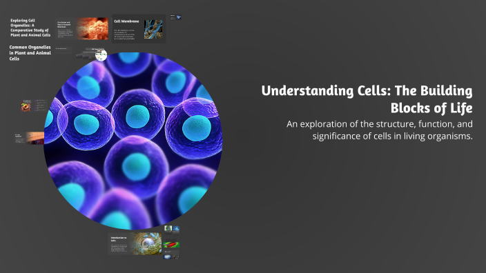 Understanding Cells: The Building Blocks of Life by Rolen James Ortiz ...