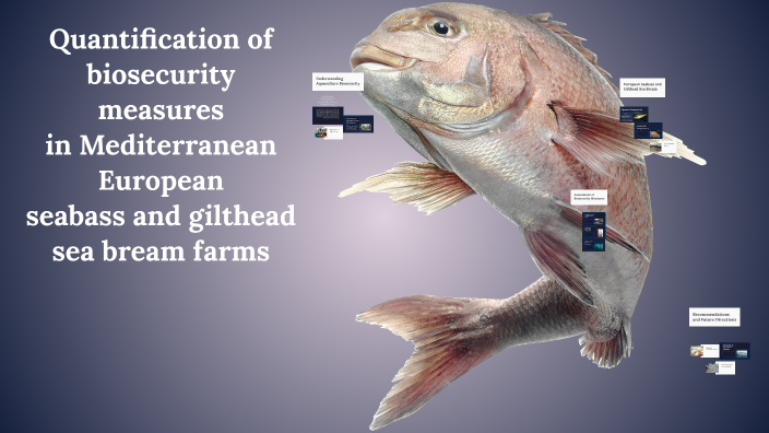 Biosecurity in Mediterranean Fish Farms by Hosam Saleh on Prezi