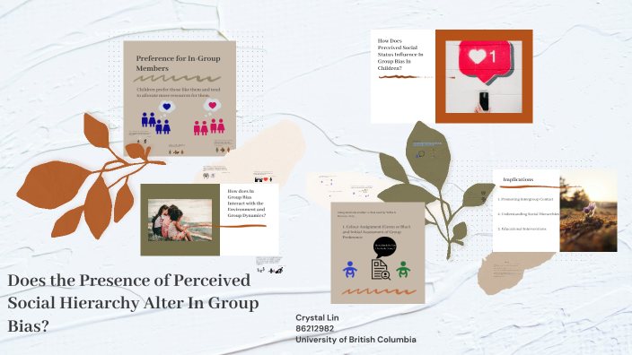 Does the Presence of Perceived Social Hierarchy Alter In Group Bias? by ...
