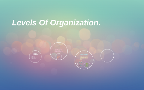 Levels Of Organization. by Taylor Parish on Prezi