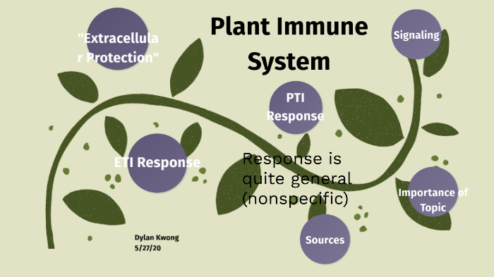 Plant Immune System by Dylan K2082-STU on Prezi