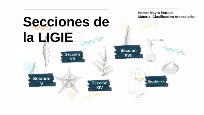 Secciones de LIGIE by Mayra Guadalupe Estrada Maciel on Prezi