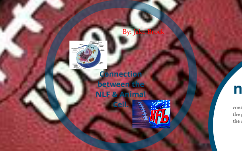 Structure and Function of The NLF Players and Their Animal Cells. by ...