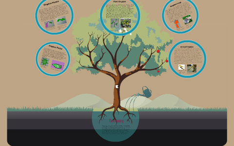 5 kingdom project by Sponge Bob on Prezi