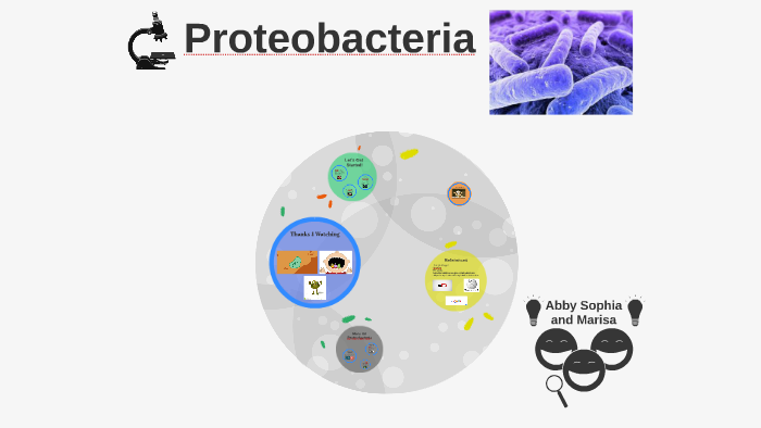 Proteobacteria by Abby Prom on Prezi