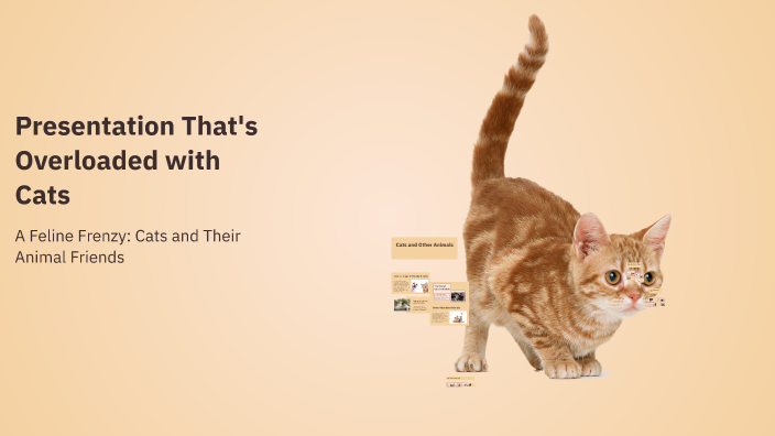 Presentation That's Overloaded with Cats by Emma Dillane on Prezi