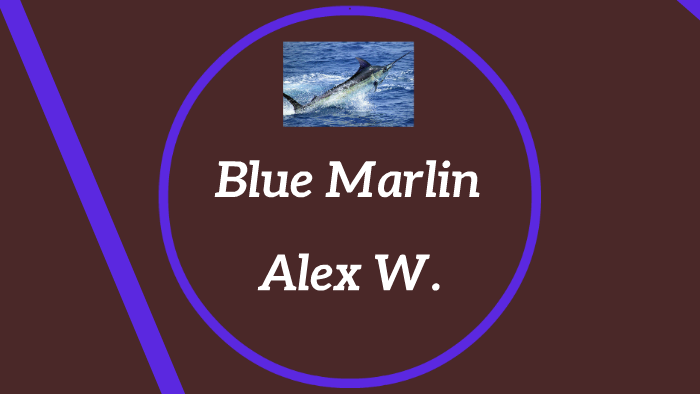 Blue Marlin Alex W. by James Houston on Prezi
