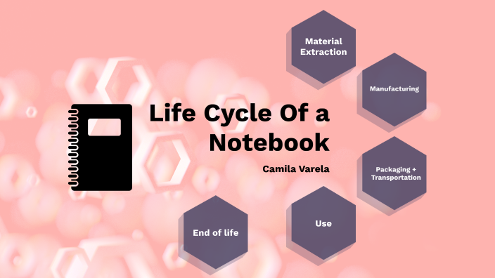 Life Cycle Map by camila varela on Prezi