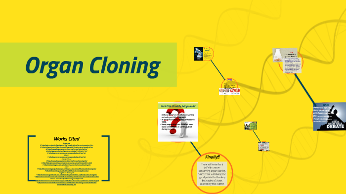 Organ Cloning by jefferson brown on Prezi