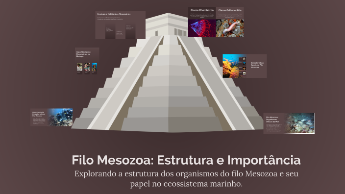 Filo Mesozoa: Estrutura e Importância by Thalison Diego on Prezi