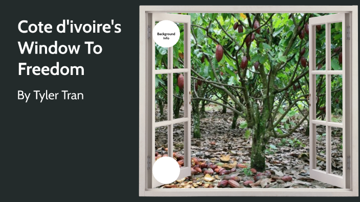 Window to Freedom by Tyler Ashton Tran on Prezi