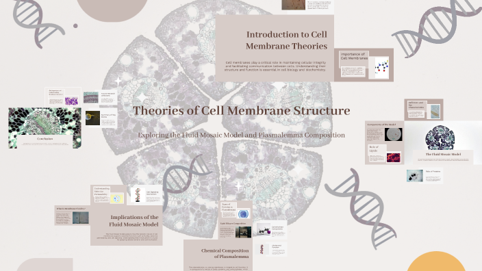 Theories of Cell Membrane Structure by Sanjula s on Prezi