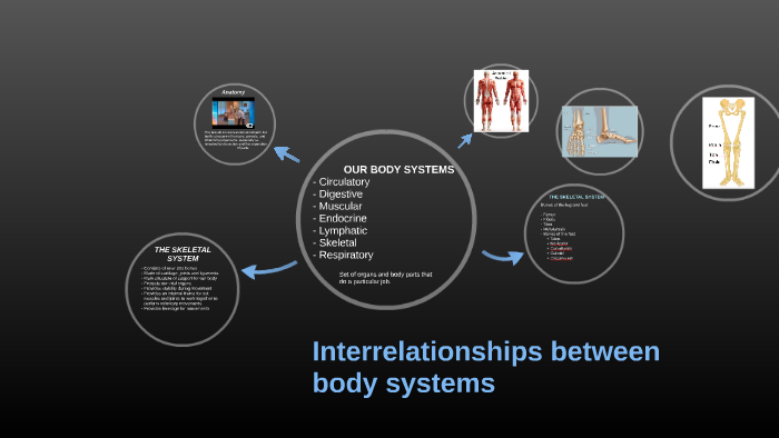 Interrelationships between body systems by Kerryn Riddiford on Prezi