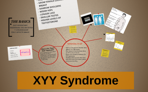 XYY Syndrome by Biological Group on Prezi