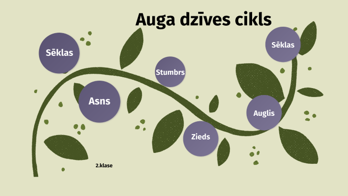 Auga dzīves cikls by Svetlana Gavrilko on Prezi