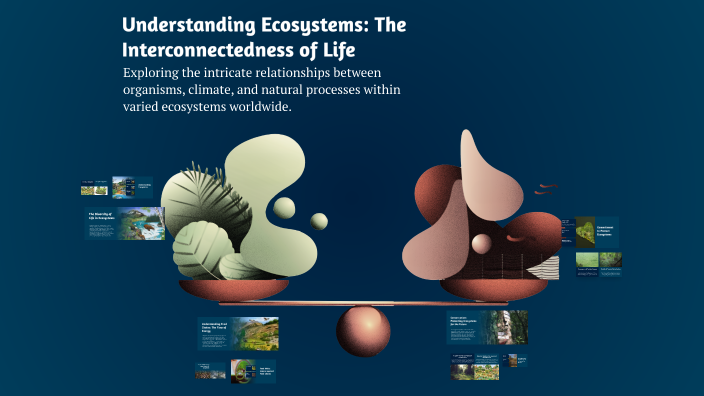 Understanding Ecosystems: The Interconnectedness of Life by Natasha ...