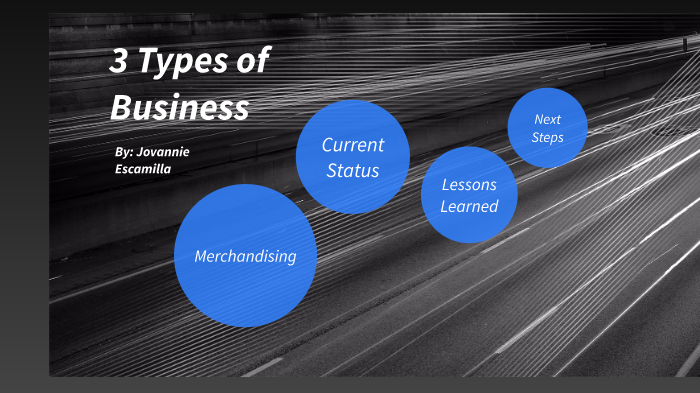 3 Types of Business by O E on Prezi