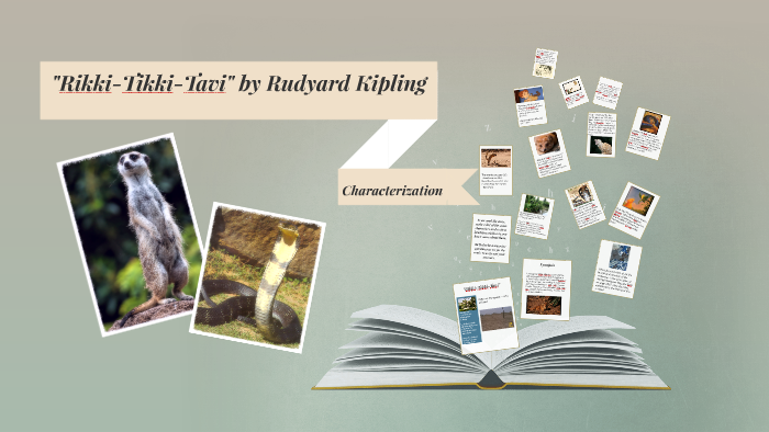 Rikki Tikki Tavi Character Chart