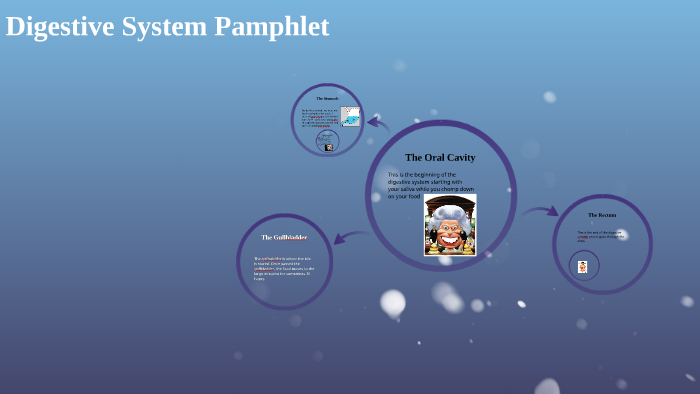 Digestive System Pamphlet by Jacob Ryan on Prezi